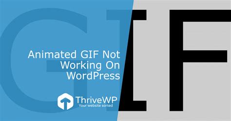 Animated GIF Not Working On WordPress