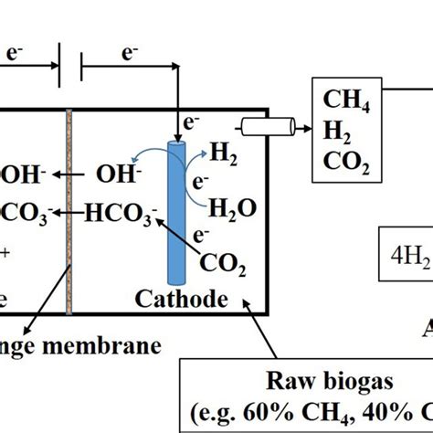 Schematic Reactor Setup For Microbial Electrochemical And Membrane
