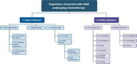 Graph Illustrating The Thematic Analysis Results Download Scientific