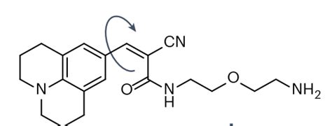 Ace Fluorogenic Ligand For Okra S Size Fr Biotechnology
