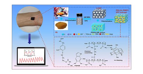 Self Adhesive And Conductive Dual Network Polyacrylamide Hydrogels