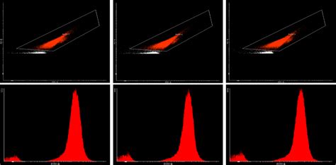 Measuring Cell Fluorescence Using Imagej
