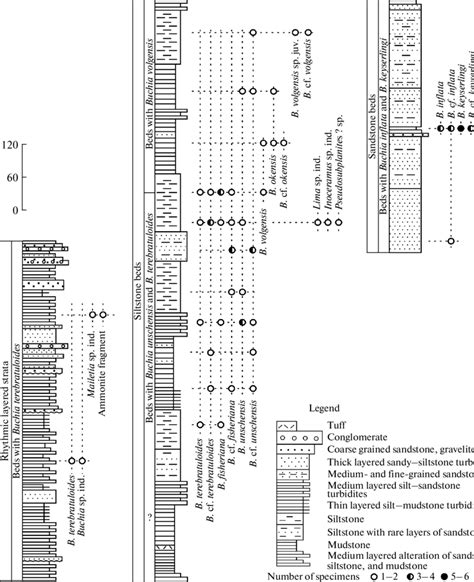 Macrofossil Distribution In The Jurassic Cretaceous Boundary Deposits