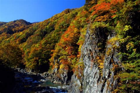 津南町観光協会公式サイト 雪･食･農･アウトドアアクティビティ。贅沢＆魅力満載の津南町！