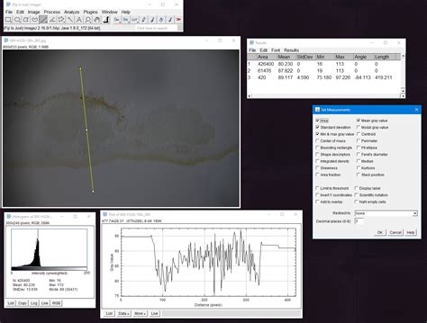 Imagejfiji Ein Open Source Programm Fürs Image Processing Computer
