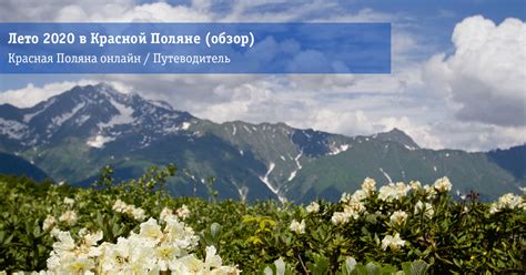 Лето в Красной Поляне 2024 Путеводитель по Красной Поляне