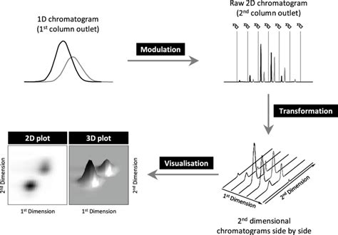 Generation And Visualisation Of A GC GC Chromatogram Download