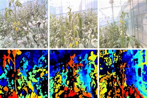 RGB And Depth Image To Be Used In The Acquired Data Set Top RGB Download Scientific Diagram