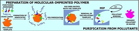 Conceptual Chart Of The Preparation Of Molecular Imprinted Polymers And Download Scientific
