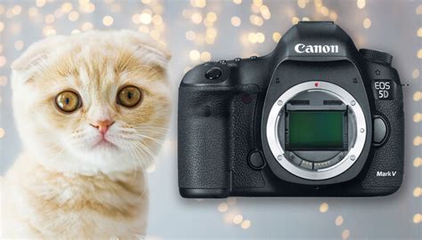 There Will Be No Canon 5d Mark V And Photographers Will Lose Out As A