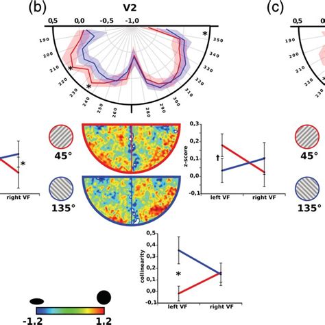 A Horizontal Connections Within A Patch Of Orientation Columns In The Download Scientific