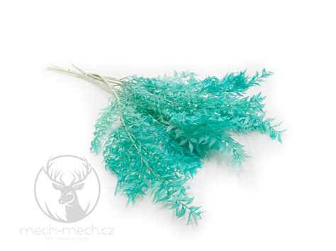 Ruskus Ruscus Mech Mech Cz