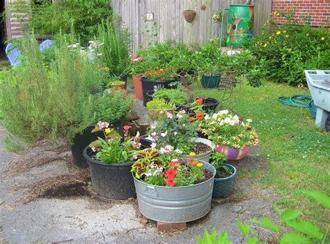 On Brangus Lane Container Garden