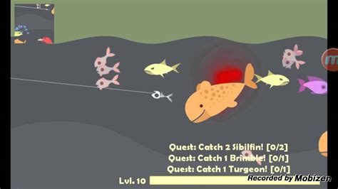 불쌍한 작은 물고기 내가 미안하다 Youtube