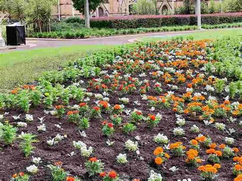 Huawei Nova I Review Huaweis Phone Canstar Blue