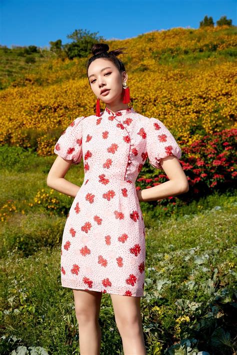 Pin By Loveshirlee On Detail Fashion 1 Chinese Style Dress Chinese