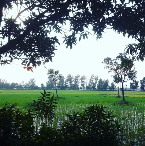 কচুয়া পৌরসভা ০৭ নং কচুয়া পৌরসভা ০৭ নং ওয়ার্ড ঐক্য পরিষদ