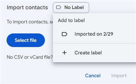 2025 new detailed guidance of how to export gmail contacts