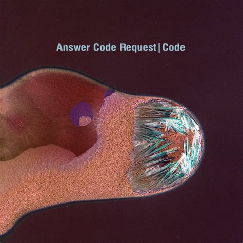 Code By Answer Code Request Album Techno Reviews Ratings Credits