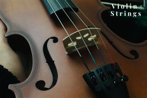 Violin String Gauges At Tamara Juarez Blog