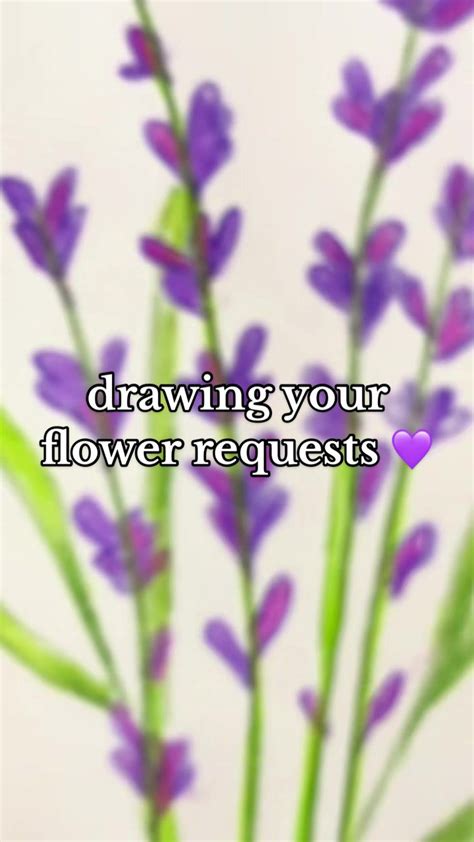 Lavender Pencil Drawing How To Draw Lavender With Watercolor Pencils