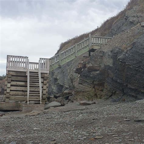 Joggins Fossil Cliffs In Nova Scotia Canada Member Stories