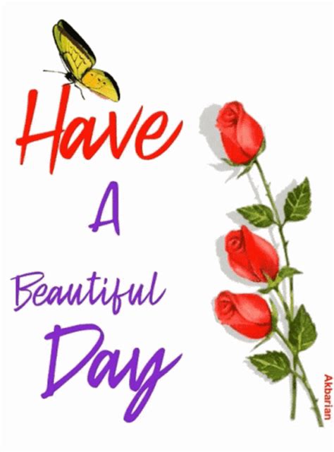 Have A Wonderful Day With Butterflies Images