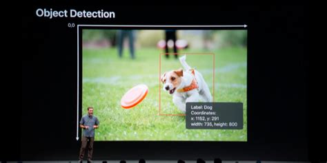How To Label Data Create ML For Object Detection HackerNoon