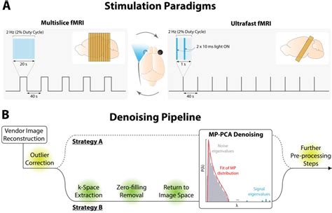 Figure 1 From Mp Pca Denoising Of Fmri Time Series Data Can Lead To Artificial Activation