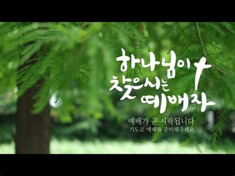 [무료저작권 No Copyright 예배인트로 영상 175] 기독교영상소스 예배준비영상 하나님이 찾으시는 예배자 나무 바람 갓피플