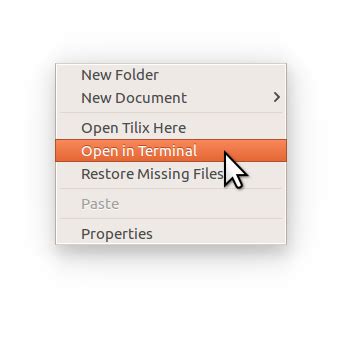 Can I Remove The Open In Terminal Menu Item From Nautilus Ask Ubuntu