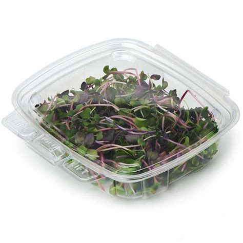 Sample Of 8 Oz Compostable Pla Clamshell Containers Sample Of 8 Oz Compostable Pla Clamshell Containers
