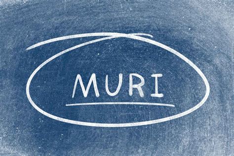 Lean Hukat Muri Lean Thinking