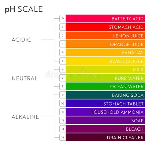 PH Value Scale Chart Stock Vector Illustration Of Chemistry