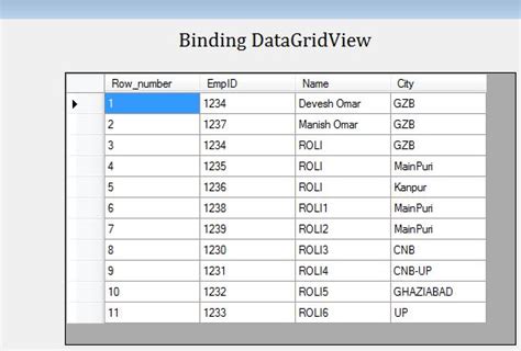 Ways To Bind Datagridview In C Windows Forms