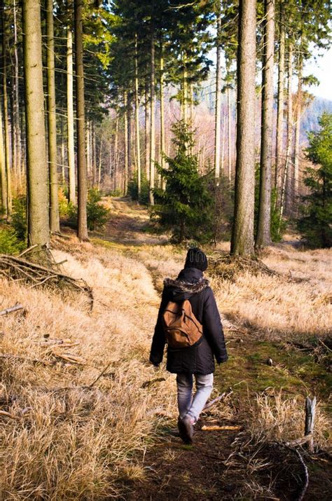 Woman Hiking In The Forest Stock Image Image Of Outdoor 43590261