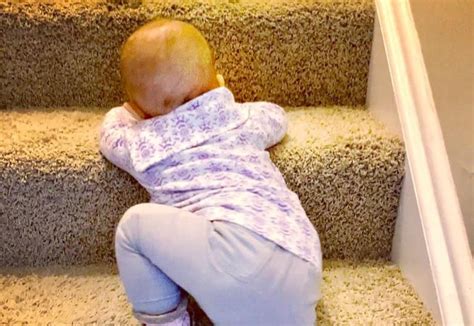 The Innate Intelligence That We Are