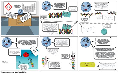 Protein Synthesis Journal Storyboard By 11cb0c14