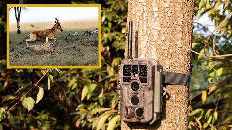 Motion Detection And Time Lapse In Gardepro Trail Camera