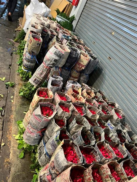 ออร์เดอร์ก่อน1 2วันนะค่ะ ราคาขยับขึ้นอีกแล้วจ้า🌹🌹🌹 ดอกกุหลาบ ที่ร้านปลูกเอง ขายเองจ้า🌹🌹🌹🌹ตัด