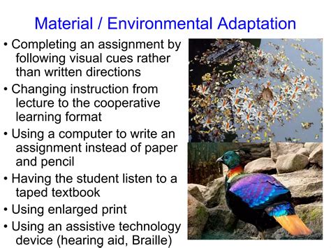 Curriculum Adaptationppt