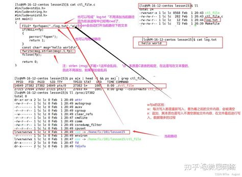 Linux 基础IO全面介绍 知乎
