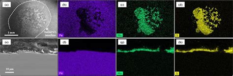 Sem Se Images And Eds Mapping Results Of Mns Phase Formed In Liquid Download Scientific