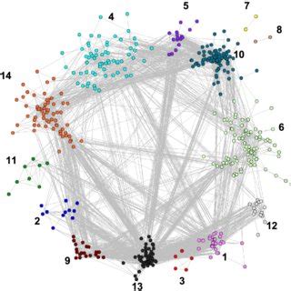 Modularity Maximization Network Modules Identified By Performing Download Scientific Diagram