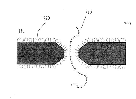 Chemical Functionalization Of Solid State Nanopores And Nanopore Arrays And Applications Thereof
