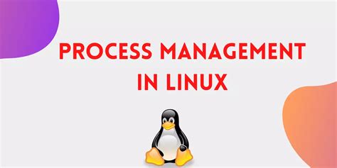 Linux 查看进程 Myfreax