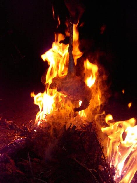 Premium Photo Bonfire At Night