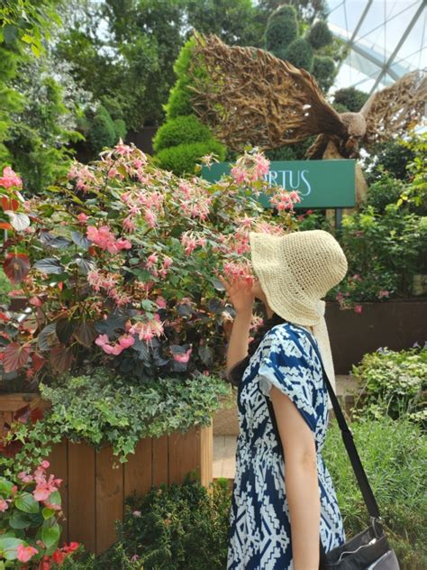 싱가포르 패키지여행 1일차2023728 패키지 여행 장단점 모두투어 선택관광이층버스투어 스카이파크 네이버 블로그