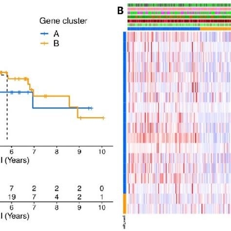 Association Of Hepatocellular Carcinoma Molecular Subtypes With