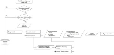 Flow Chart Of The Variant Selection Process Download Scientific Diagram